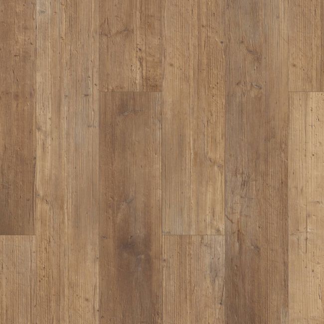 Shaw Floorte Pro - Paladin Plus - Touch Pine | 00690_0278V