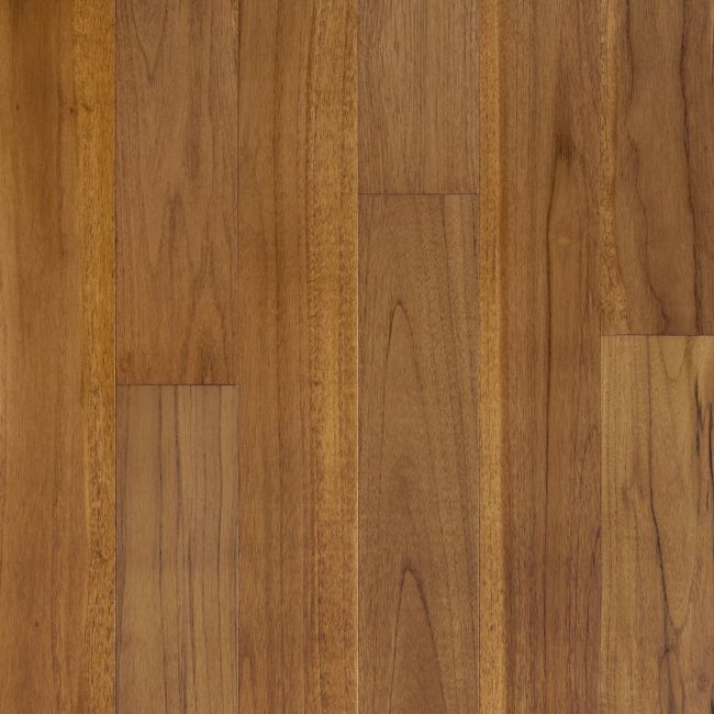 Shaw - Regatta Teak 5 - Mainsail | SW763-02078