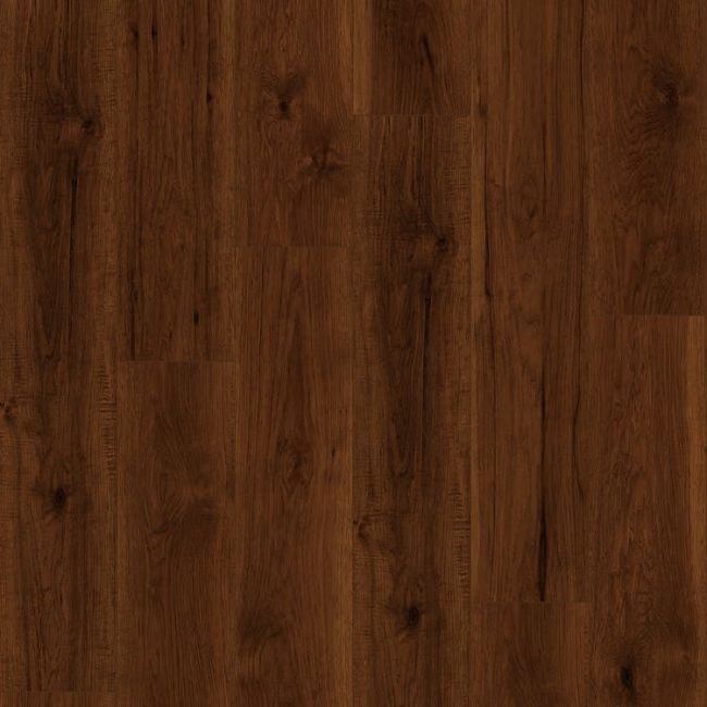 Mannington - Charter Collection 8" - Denver Forest | CHRT-29020 Denver ...
