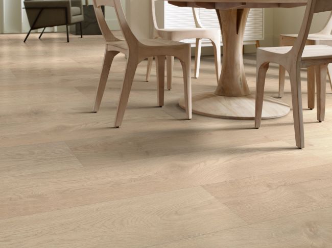 Shaw Floorte Classic - Titan HD Plus Platinum - Essential White | 01130 ...