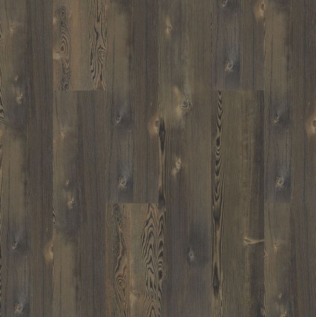 Shaw Floorte Pro - Intrepid HD Plus - Harvest Pine from Znet Flooring