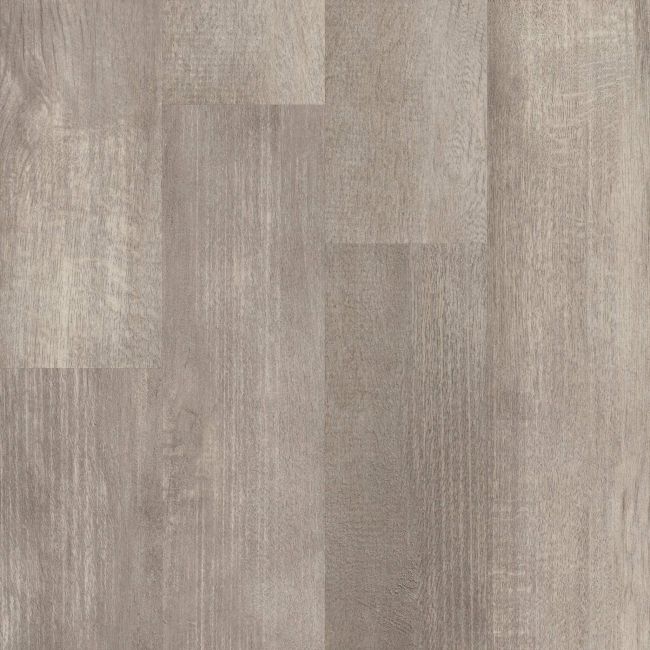 Shaw 5th and Main - Symbiotic 5.0 - Fir | 00174_5M308