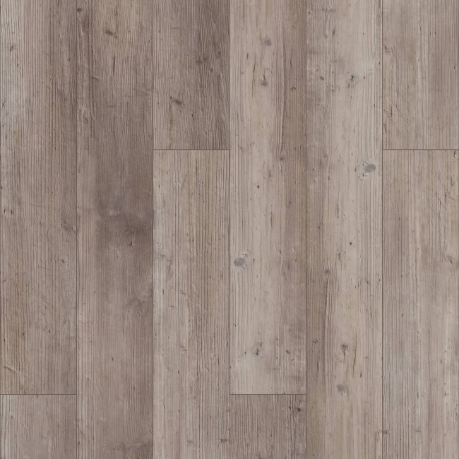 Shaw Floorte Pro - Paragon 5" Plus - Distinct Pine | 05039_1019V