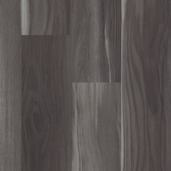 Shaw Floorte Pro - Tenacious HD Plus Accent - Shadow | 00921_3011V
