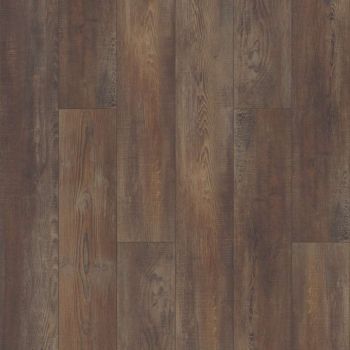 Shaw Floorte - Pantheon HD Plus - Orso | 00794_2001V